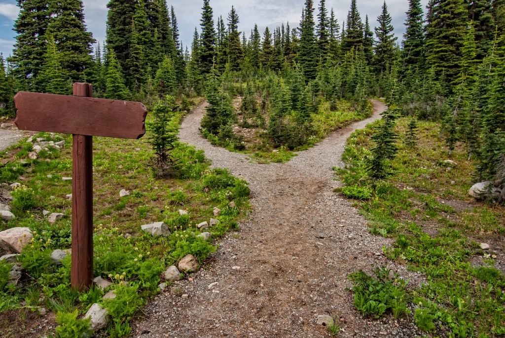 Using Angular s Base HREF In Paths